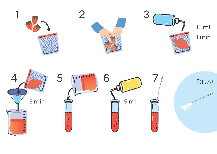 Wetenschap zichtbaar maken voor iedereen - Alzheimercentrum Amsterdam