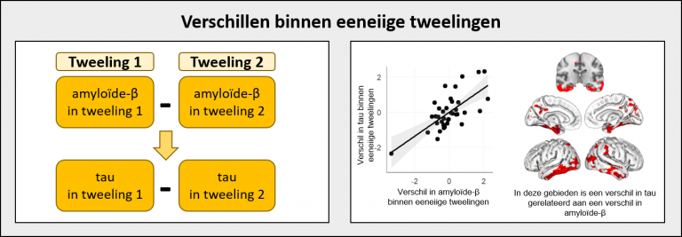 Publicatie: Onderzoek met eeneiige tweelingen ondersteunt de amyloid ...